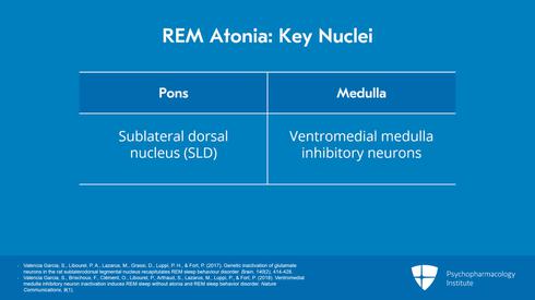 Psychopharmacology Institute